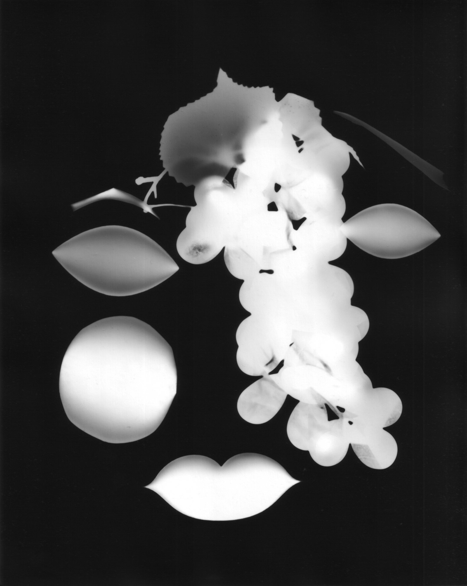 Face Photogram - Robin Cameron