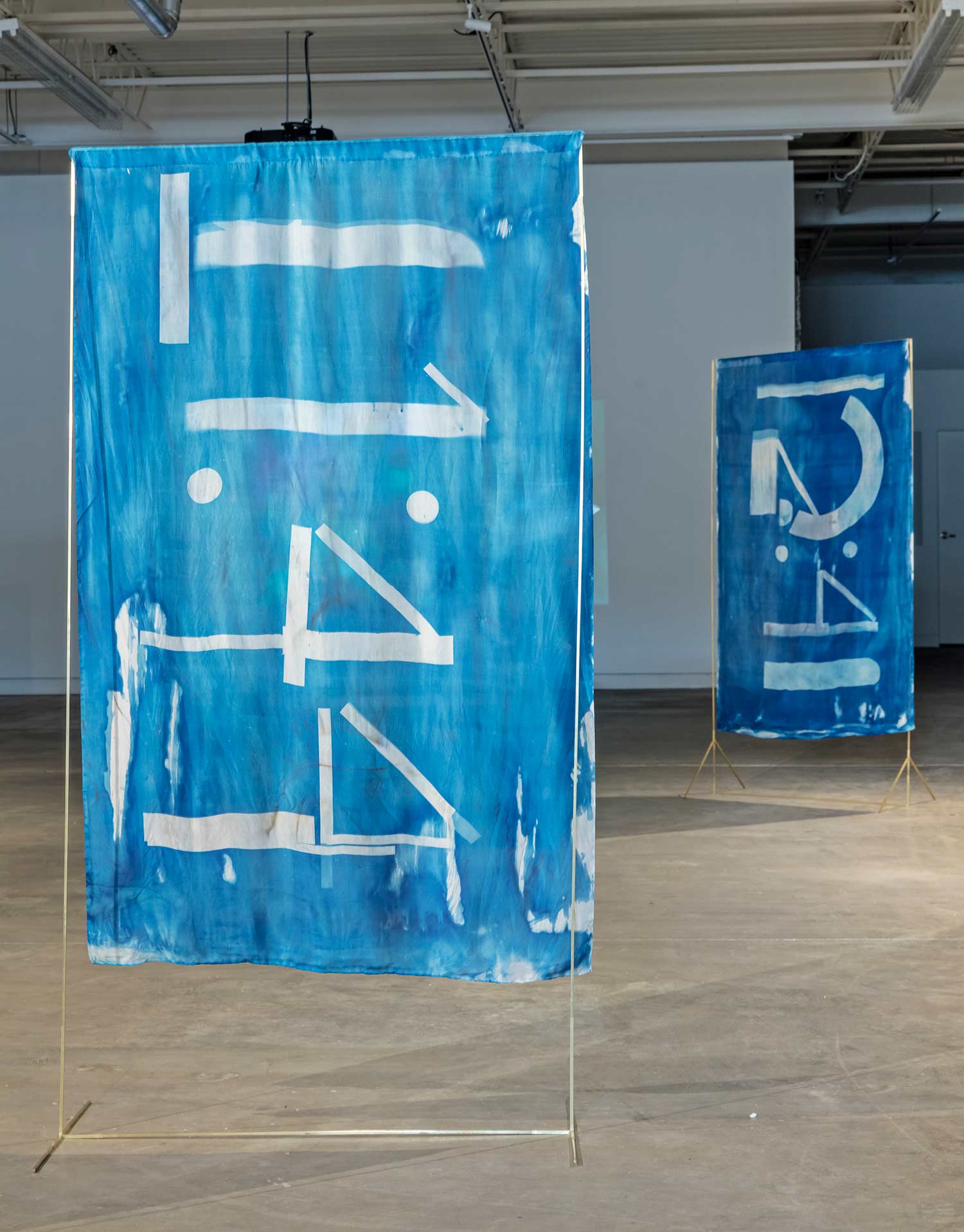 Photogram - Robin Cameron