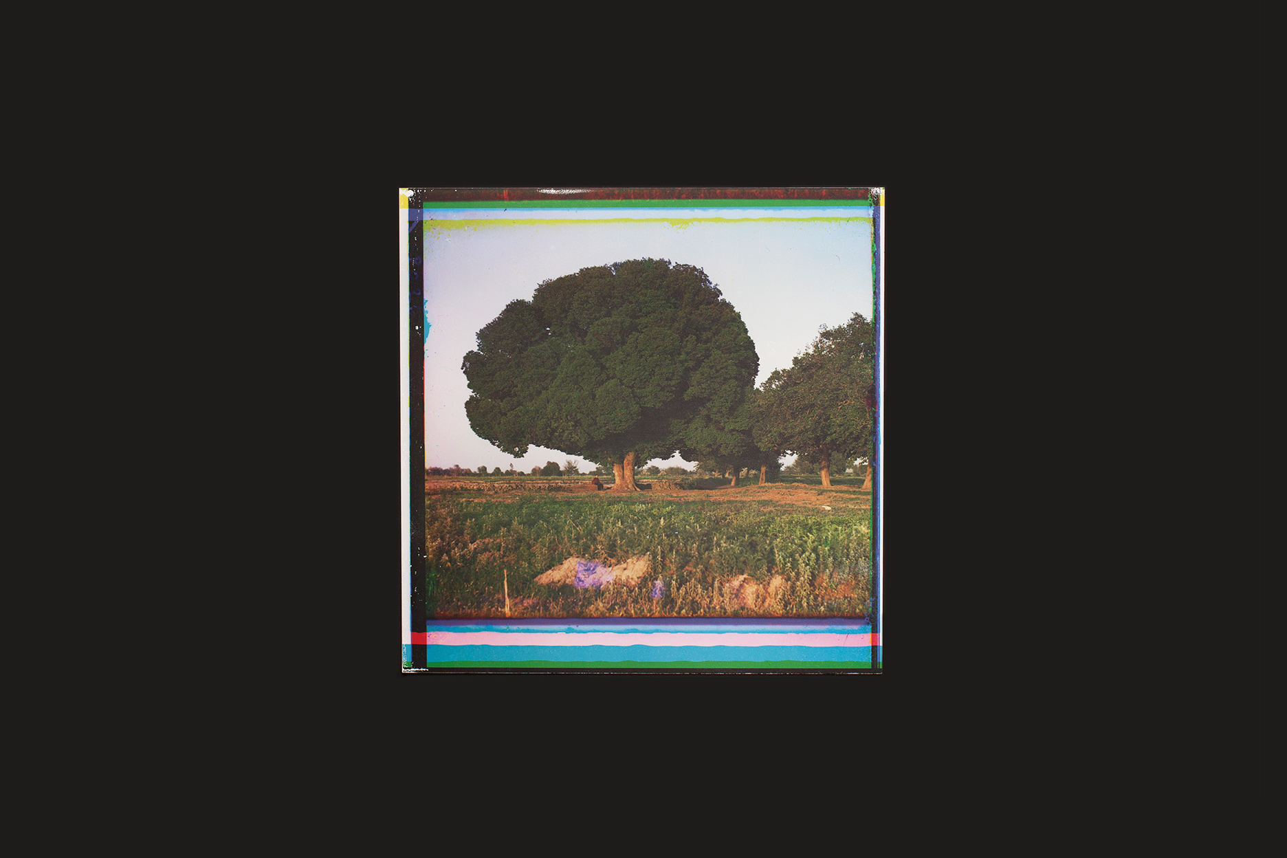 Home - Robin Cameron